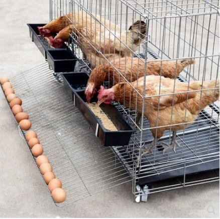 Folding Automatic Rolling Egg Chicken Cage Chicken Raw Egg Chicken Cage ...
