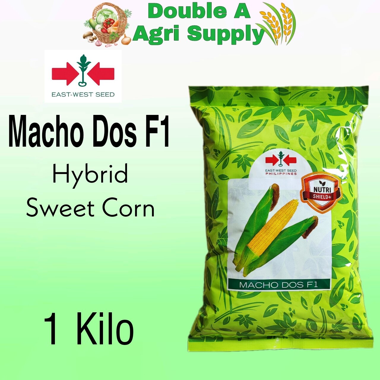 Macho Dos F1 Hybrid Sweet Corn - East West Seed | Lazada PH