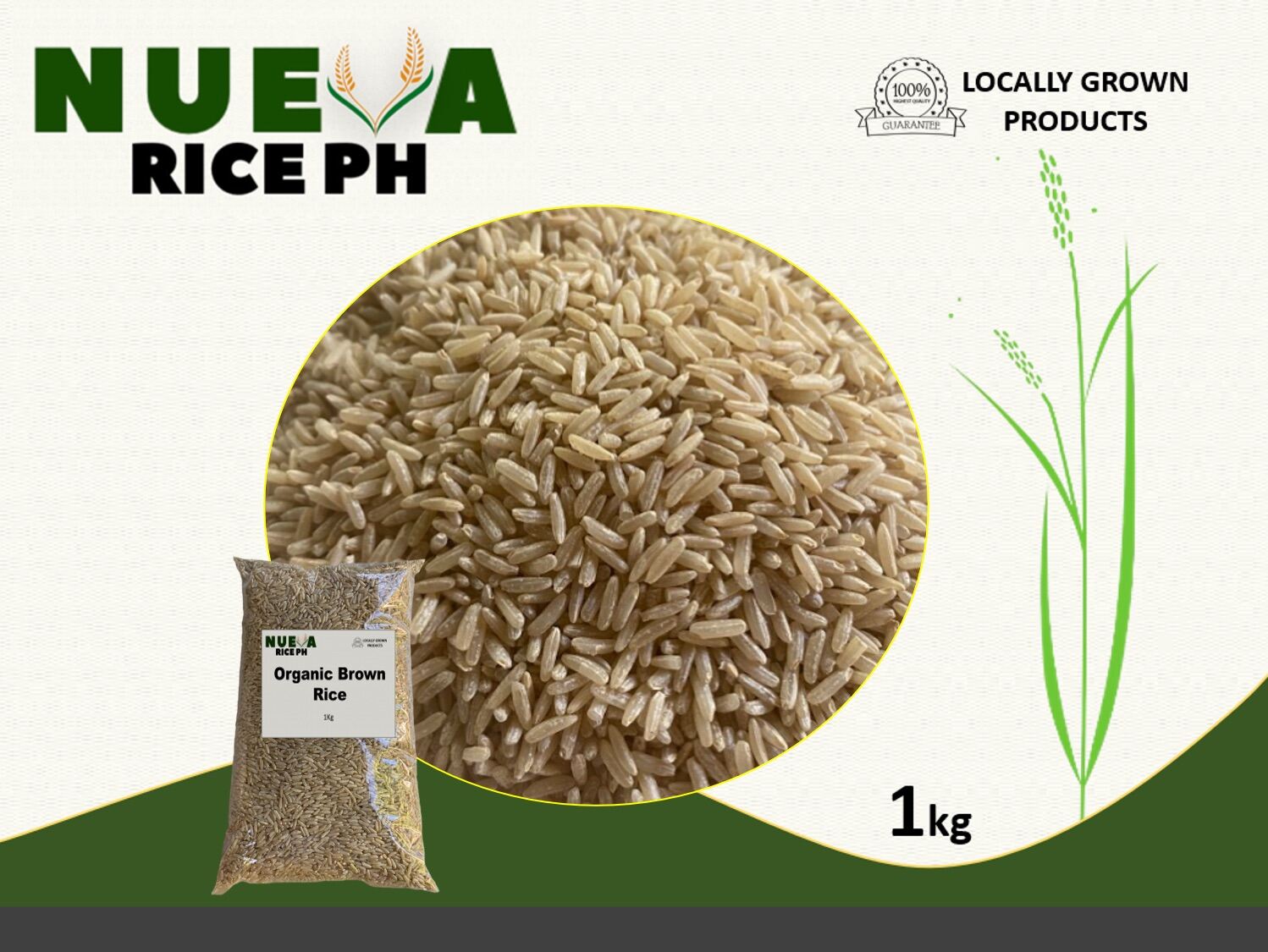 Organic Brown Rice | 1 Kg | Lazada PH
