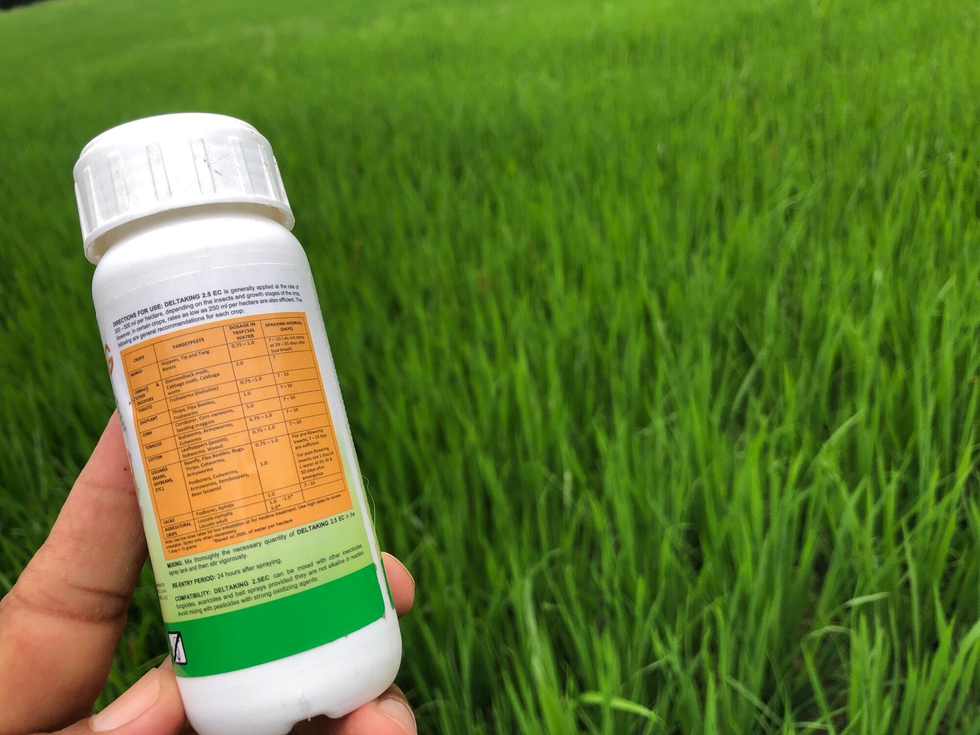 Delta King Insecticide 100ml Deltamethrine, Worm killer | Lazada PH