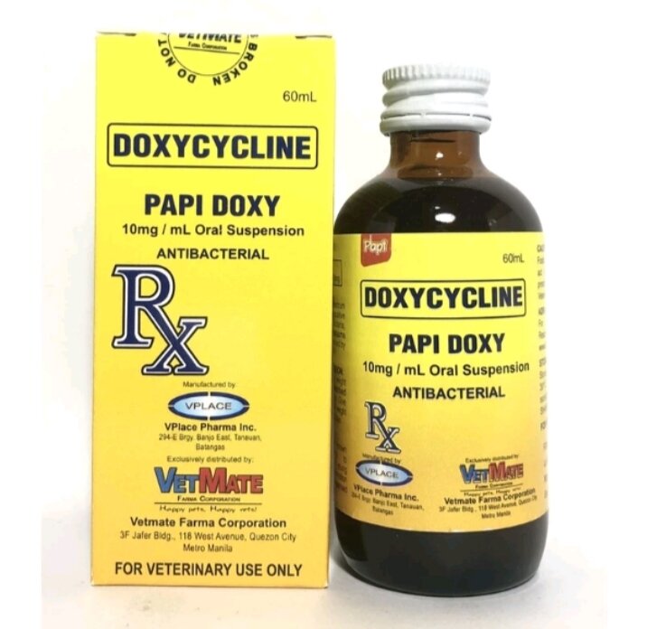 Papi Doxy for dogs and cats Antibacterial (60ml) | Lazada PH