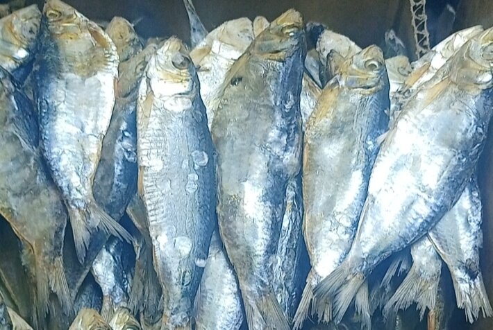 Dried Fish tuyo" 250g masarap tama lang yung alat. | Lazada PH