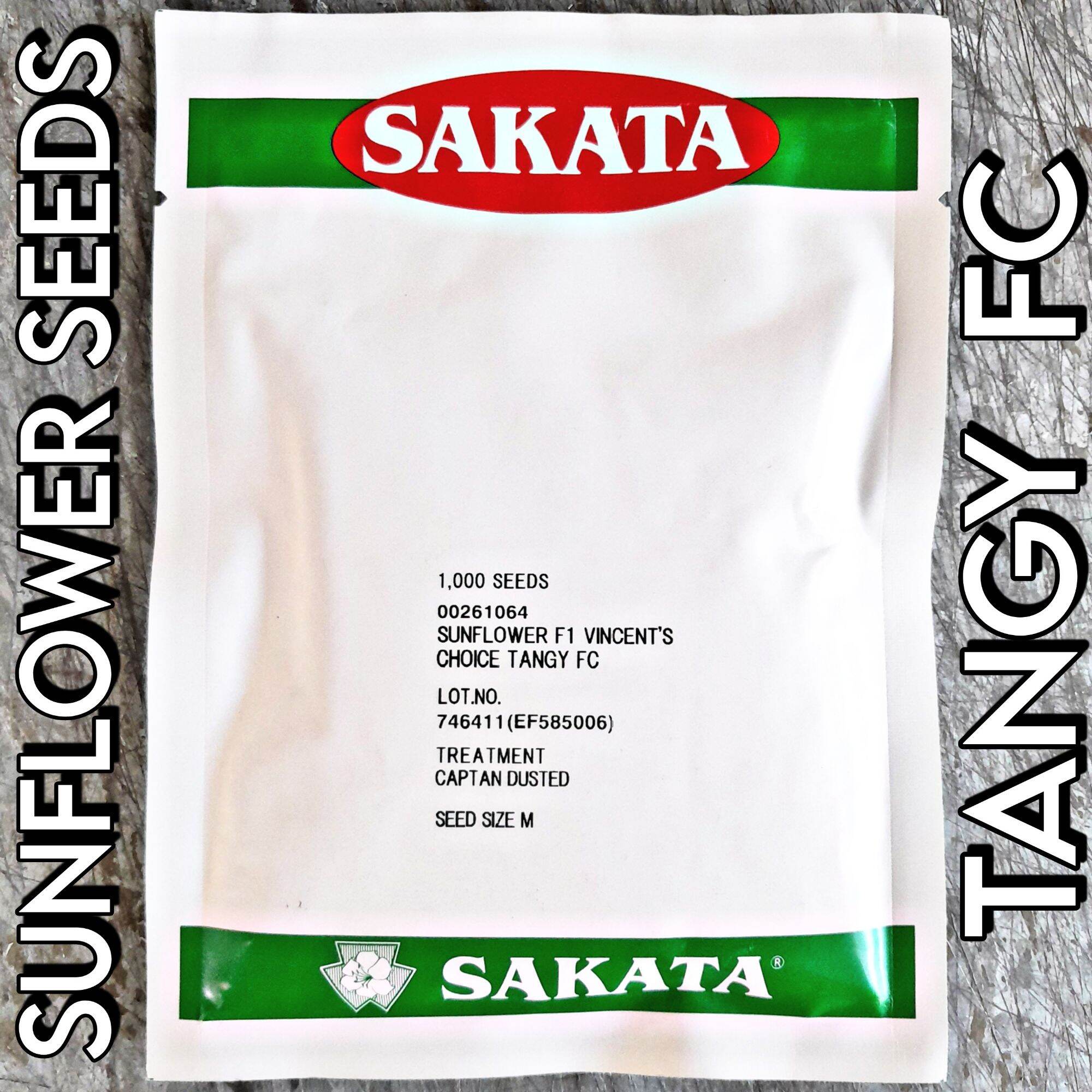 VINCENT'S CHOICE TANGY FC F1 HYBRID SUNFLOWER (1000 SEEDS) by SAKATA ...