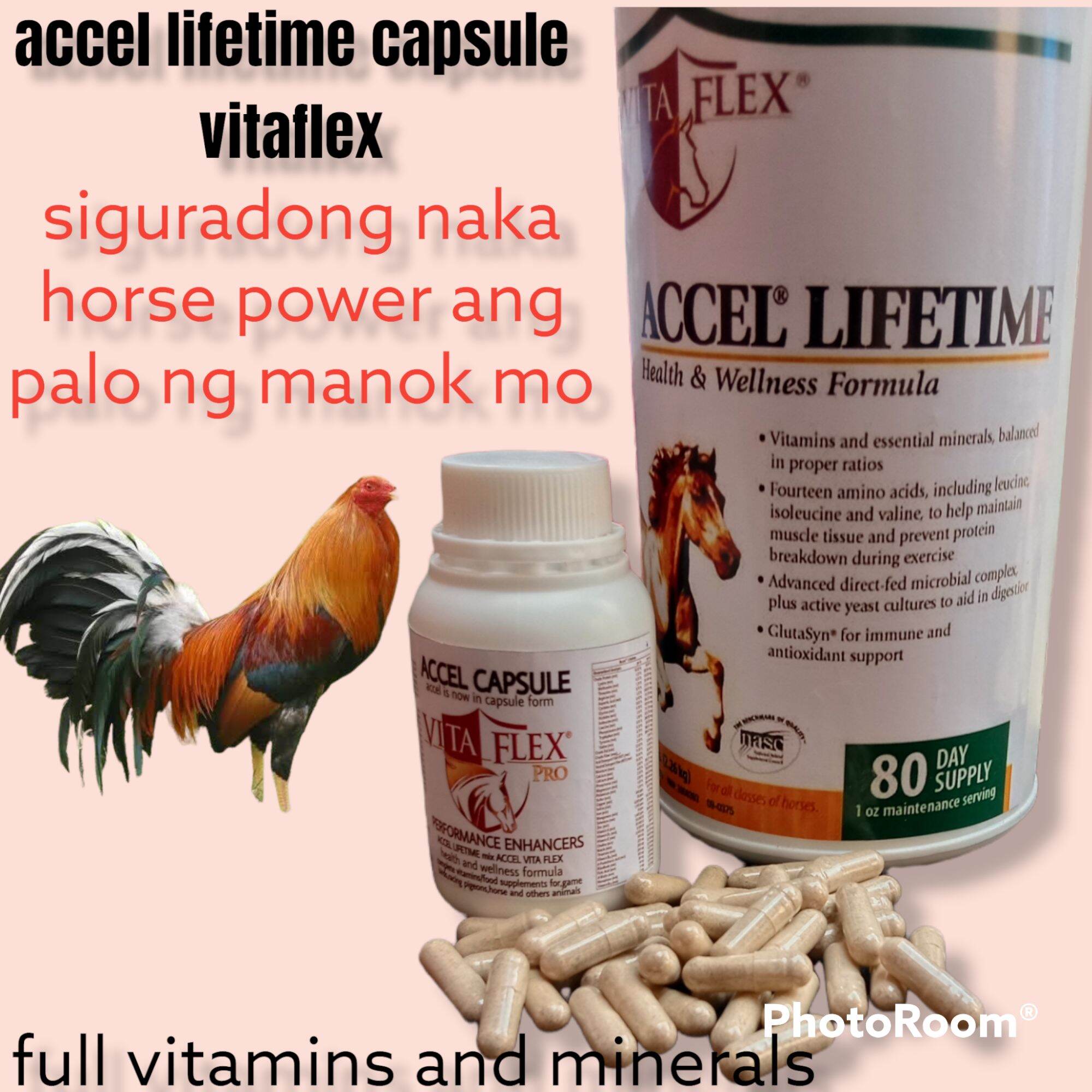 ACCEL LIFETIME/ACCEL VITA FLEX CAPSULE | Lazada PH