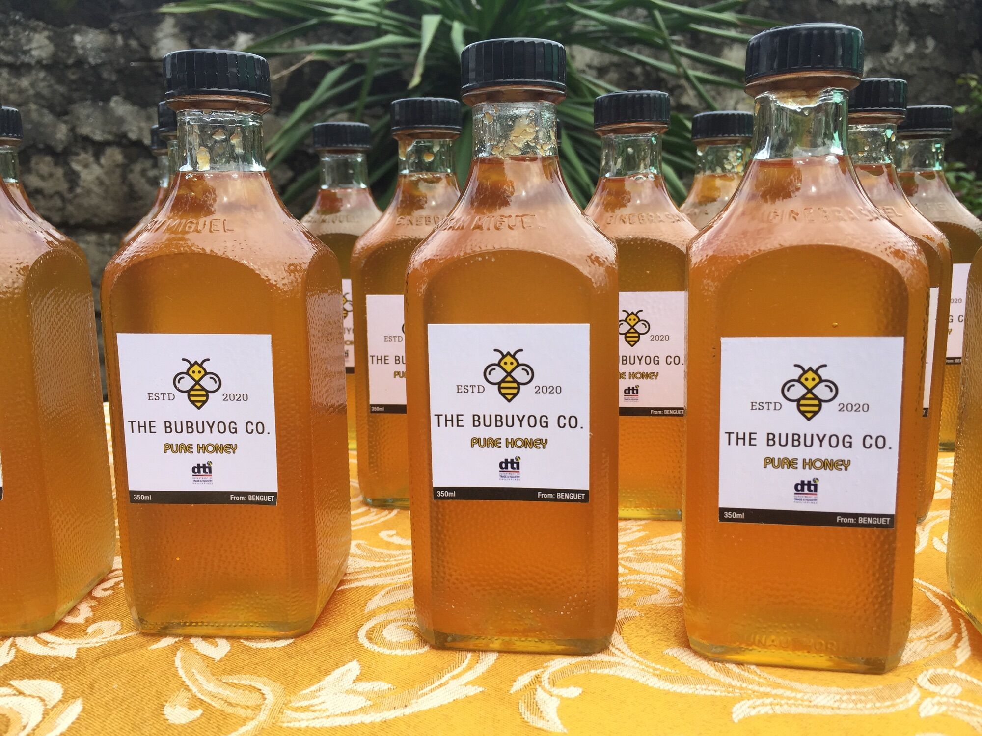 PURE HONEY from BENGUET | Lazada PH