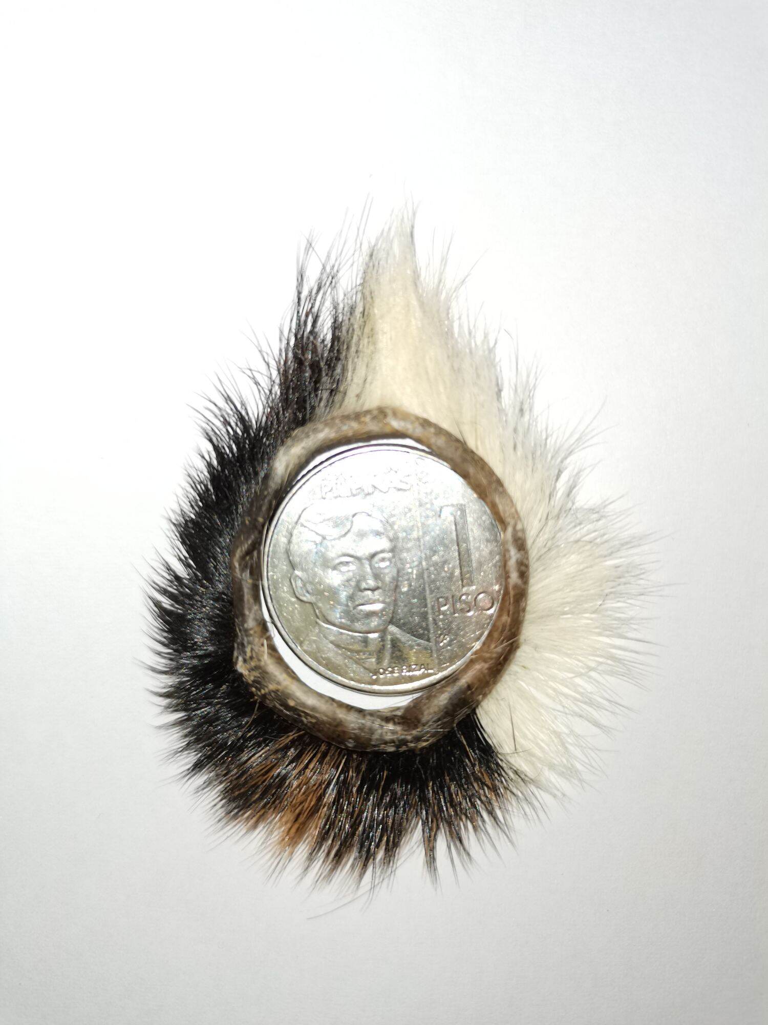 Pilik mata ng kambing or pampadulas | Lazada PH