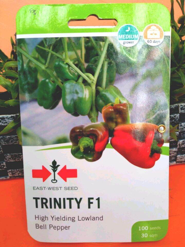 Trinity F1 Bell Pepper East-West Seed (100 Seeds) | Lazada PH