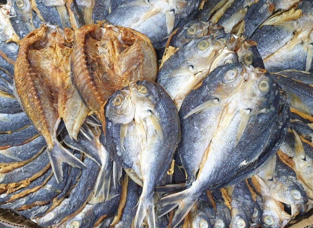 Solid blue dried fish 500g | Lazada PH