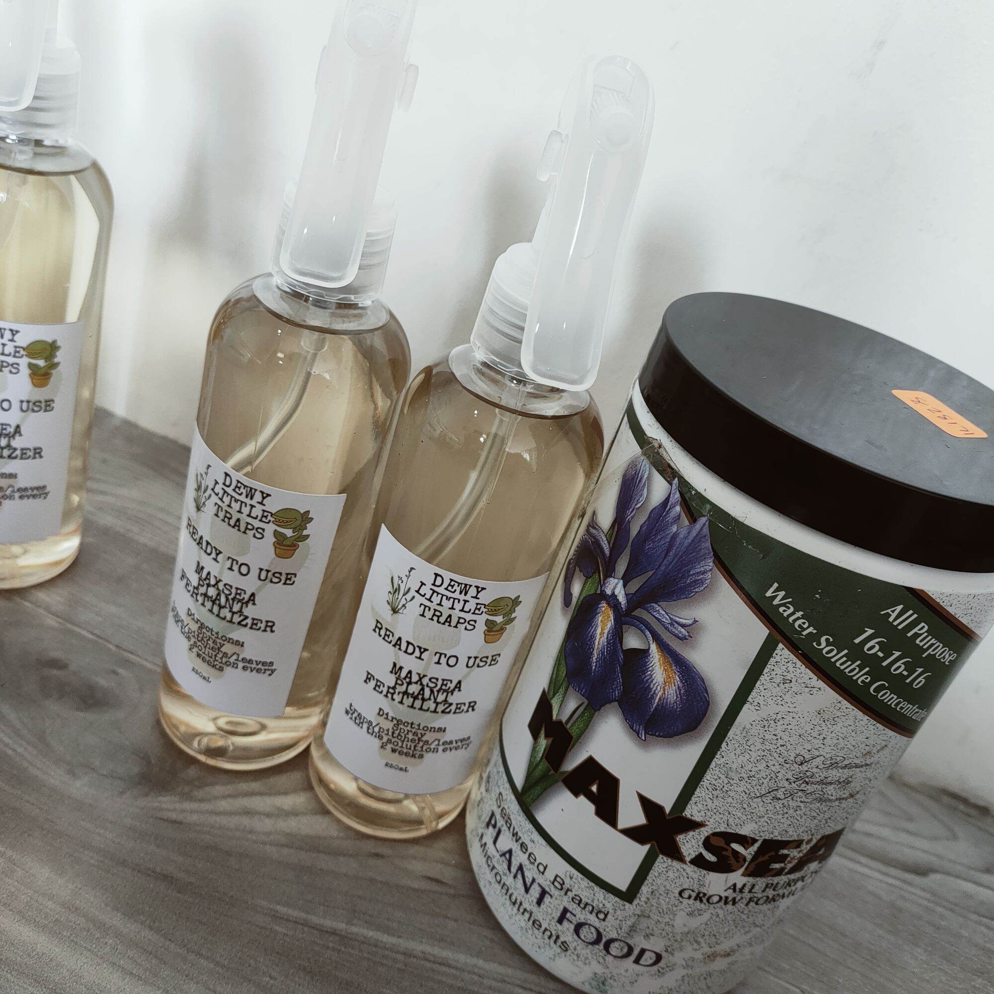 Ready To Use Maxsea 16-16-16 | Lazada PH