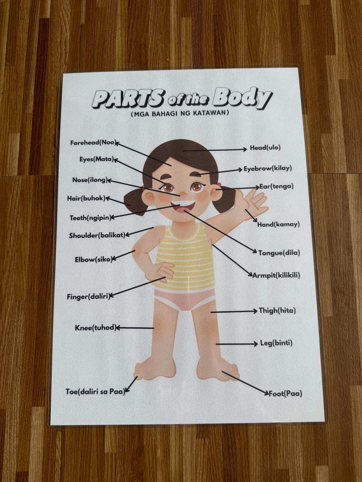 Laminated Educational charts for kids A4 Size waterproof | Lazada PH