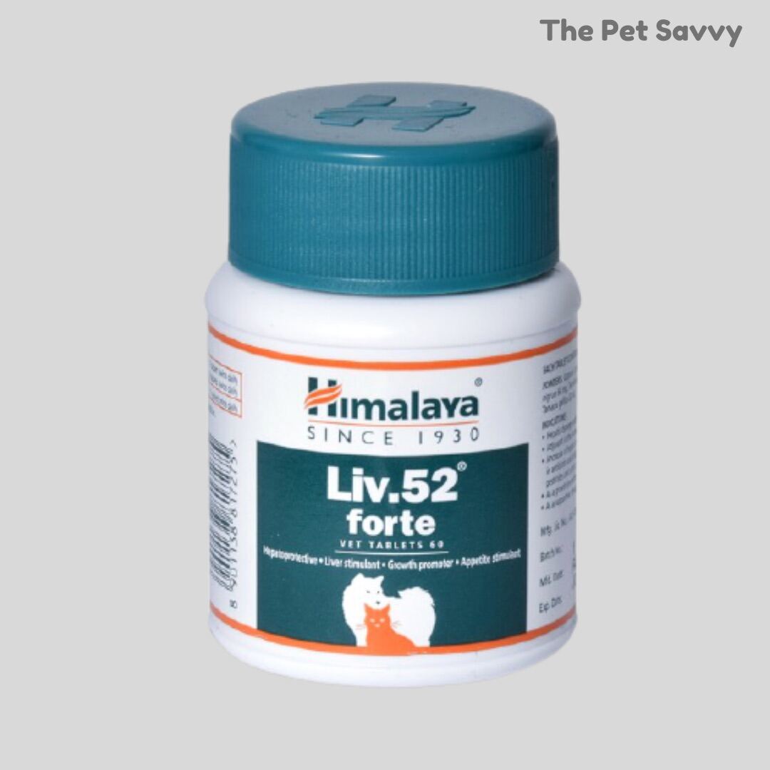 Himalaya Liv.52 Forte | Lazada PH