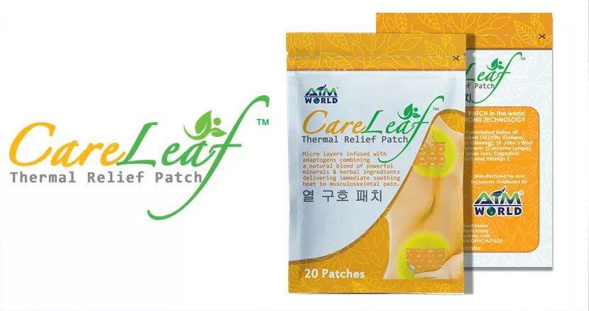 Care Leaf Thermal Relief Patch (Retail Pack, 8 mini Patches) | Lazada PH