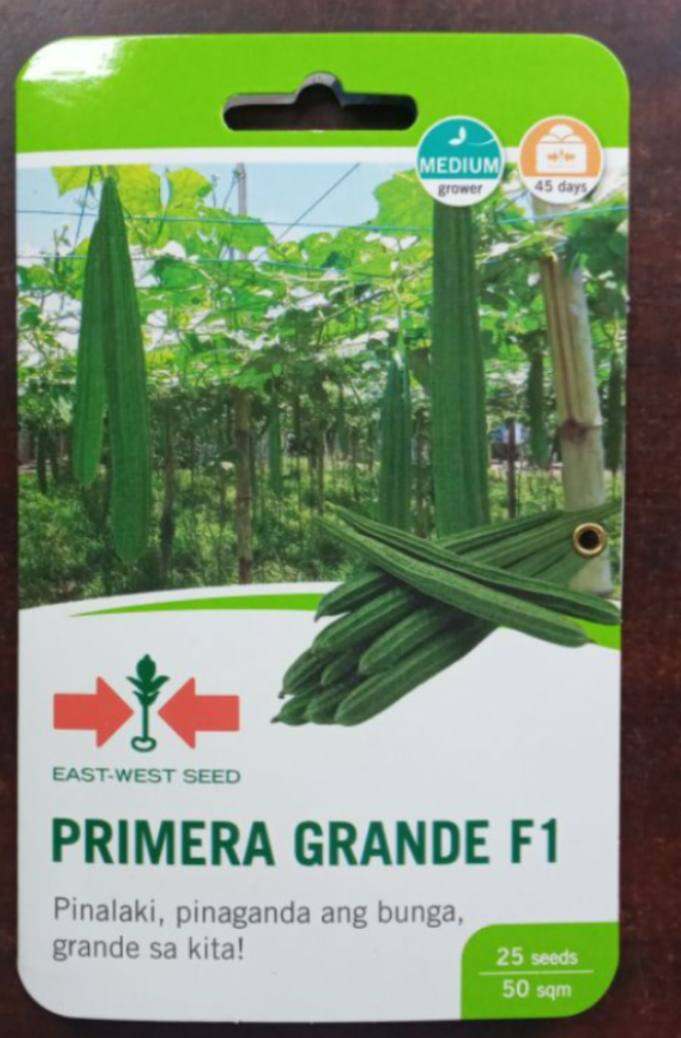 PRIMERA GRANDE F1 HYBRID PATOLA SEEDS 25 SEEDS (EAST WEST SEEDS ...