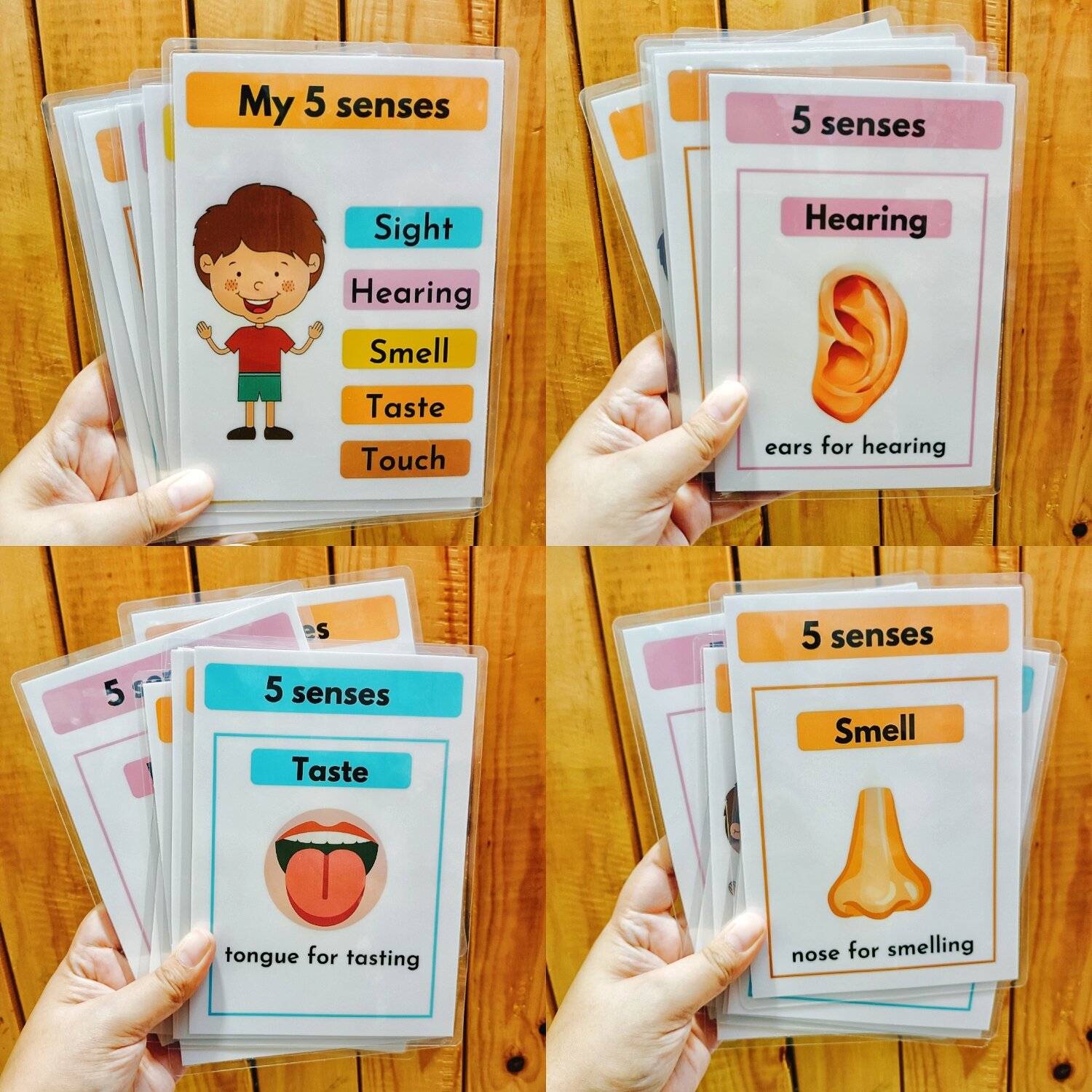 5 senses flashcards laminated 5R | Lazada PH