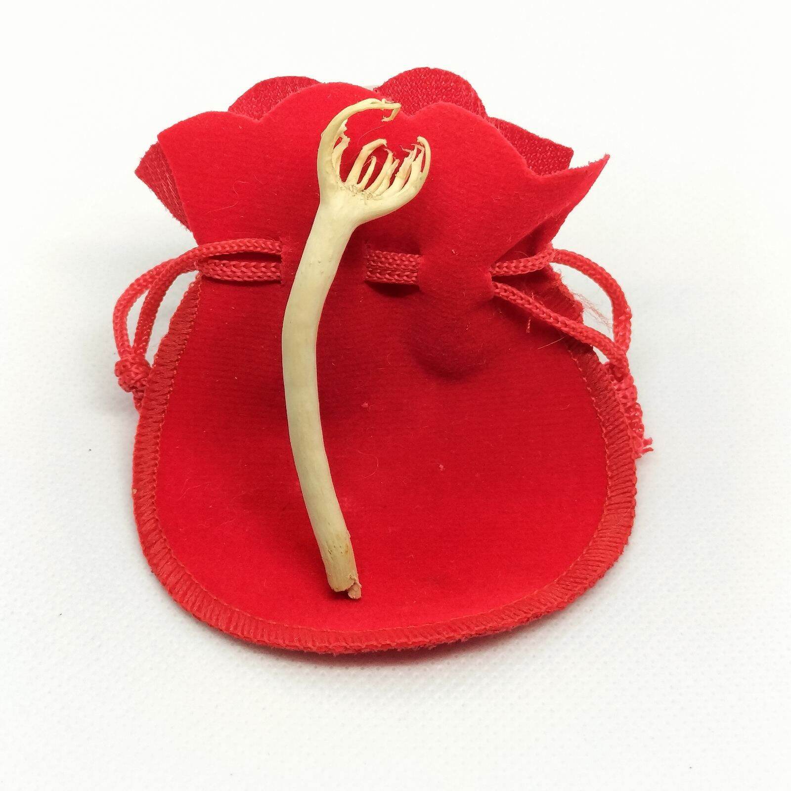 Sinukuan na may Kasamang Kahoy ng Tagupaypay with dasal freebies at Red ...