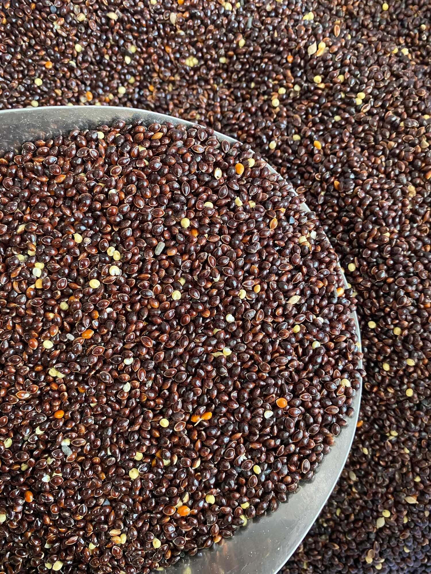 Black Millet (1 Kilo) | Lazada PH
