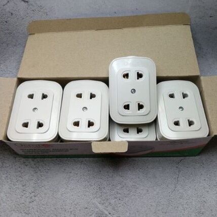 1 Box (12 pcs.) Omni 2 Gang Convenience Outlet (WSO-002) | Lazada PH