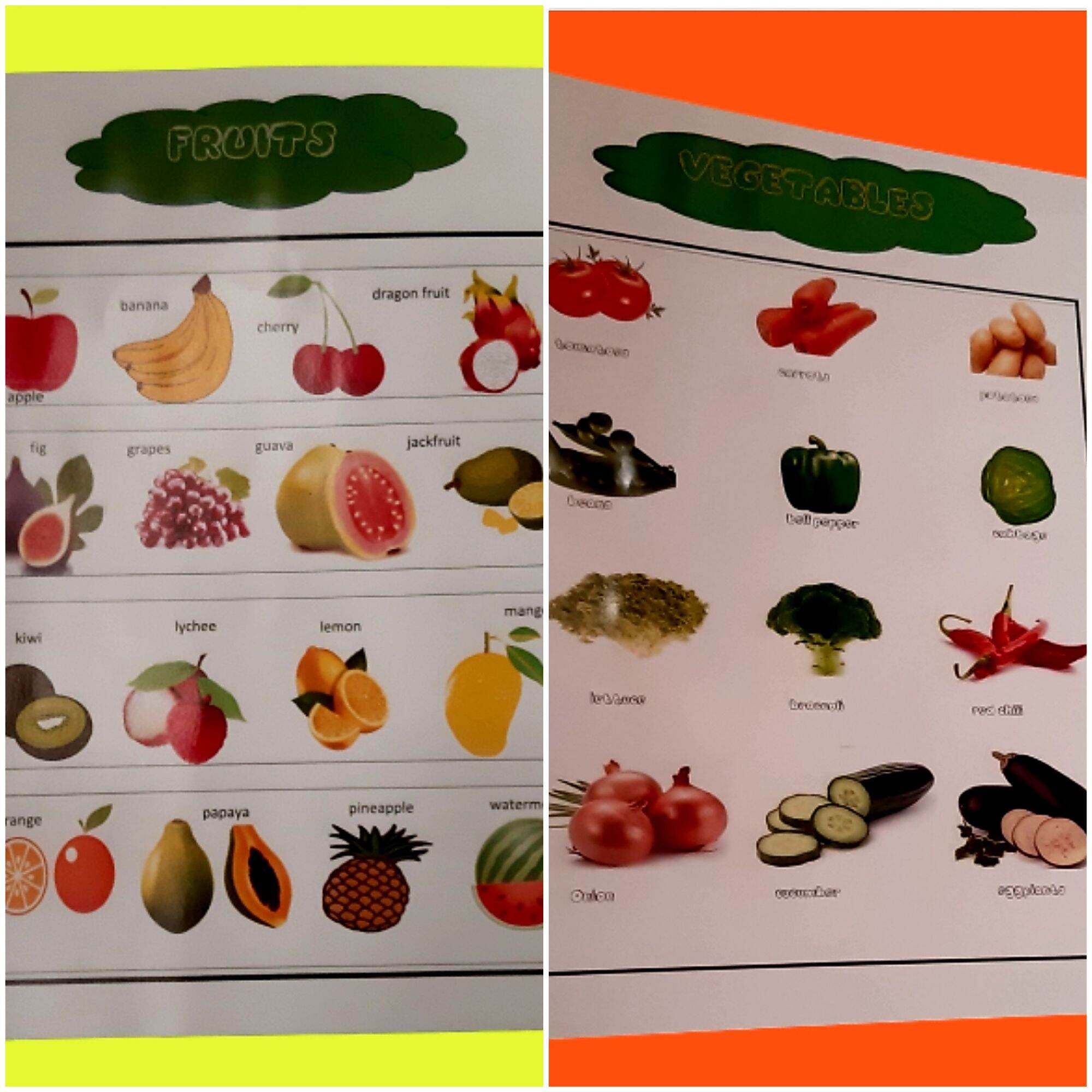laminated back to back vegetables and fruits | Lazada PH
