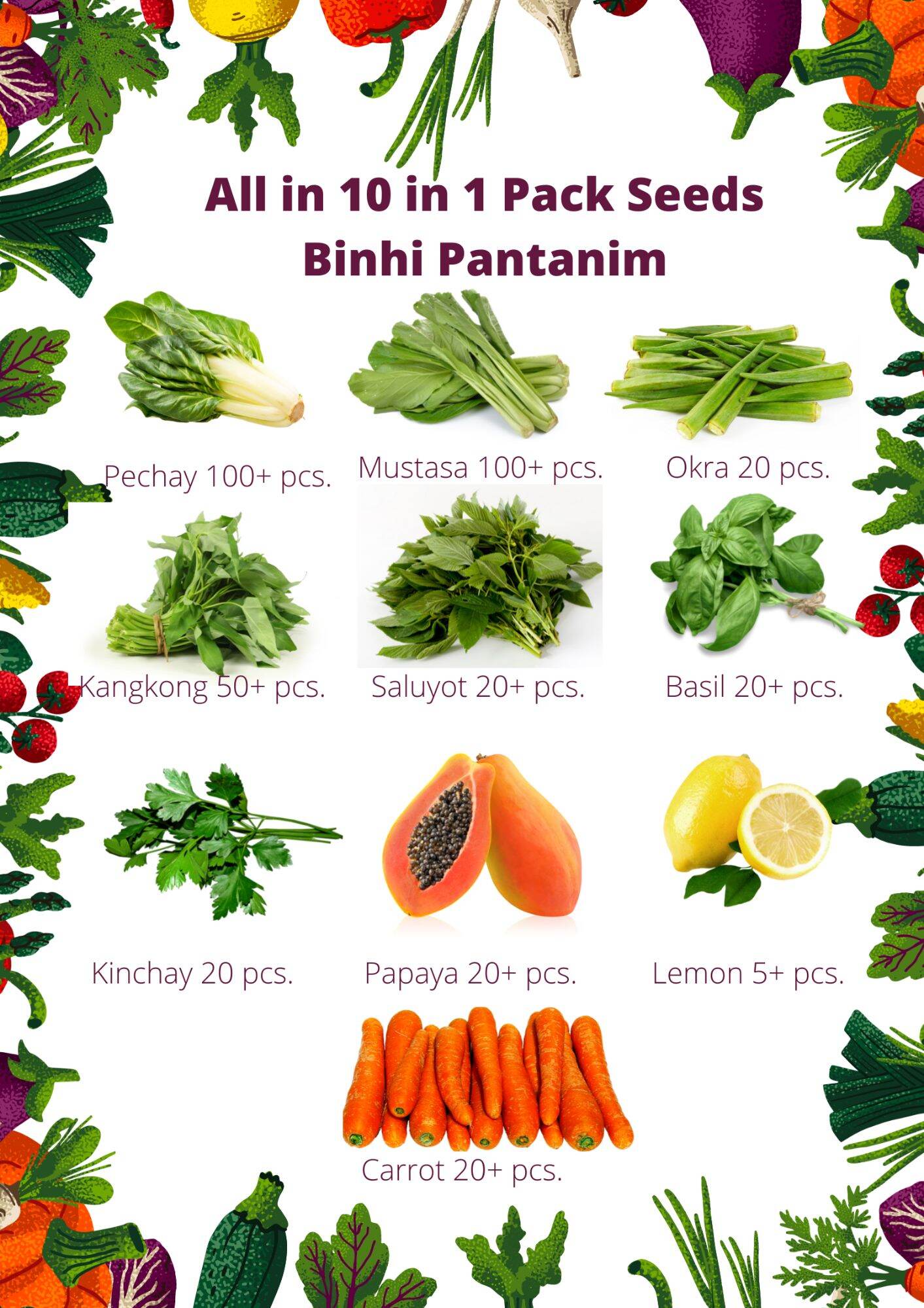 all in! 10 in 1 pack seeds binhi pantanim pechay mustasa okra kangkong ...