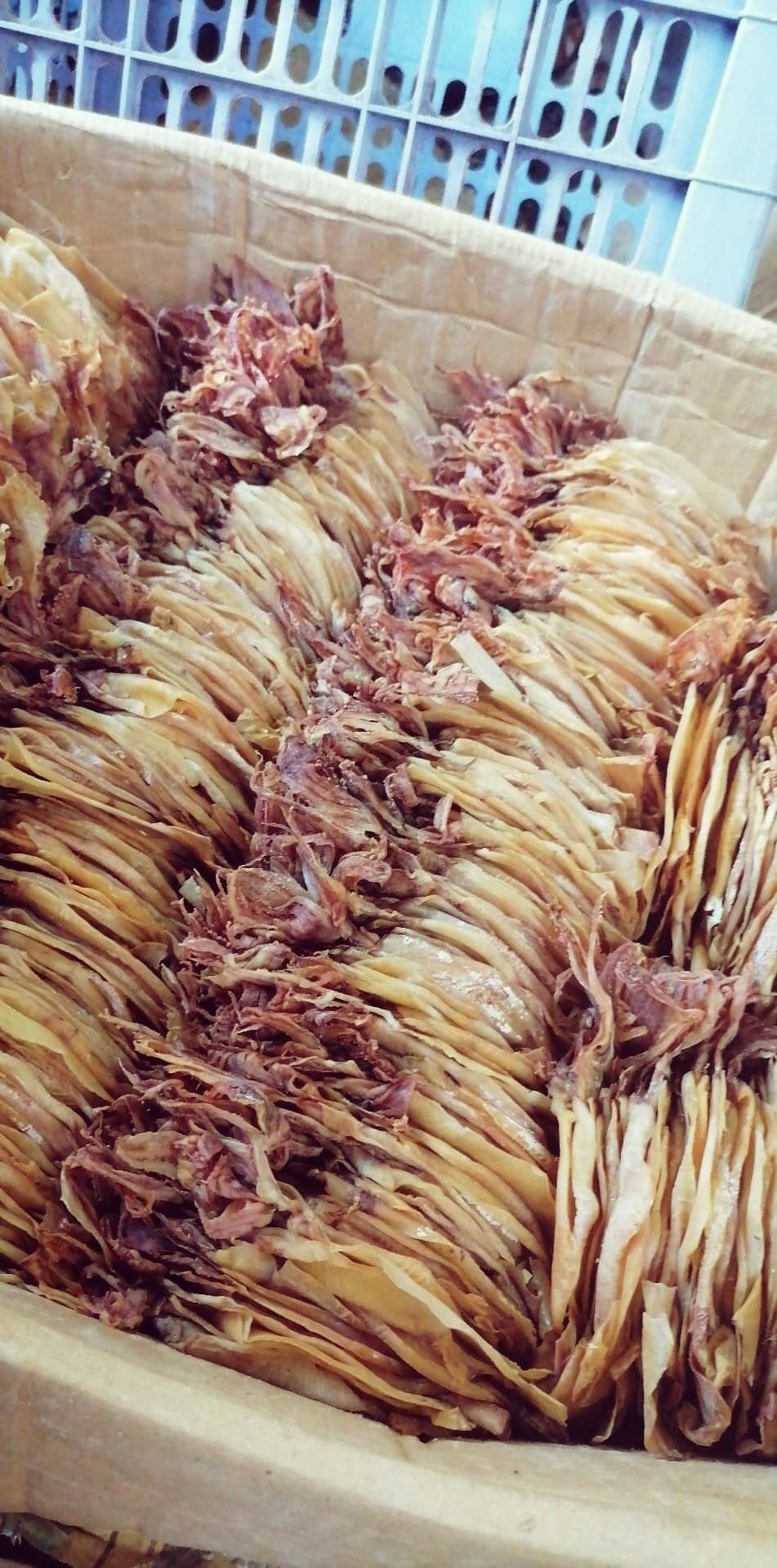 Skinless Pusit Dried, 1kg from Bantayan Cebu! | Lazada PH