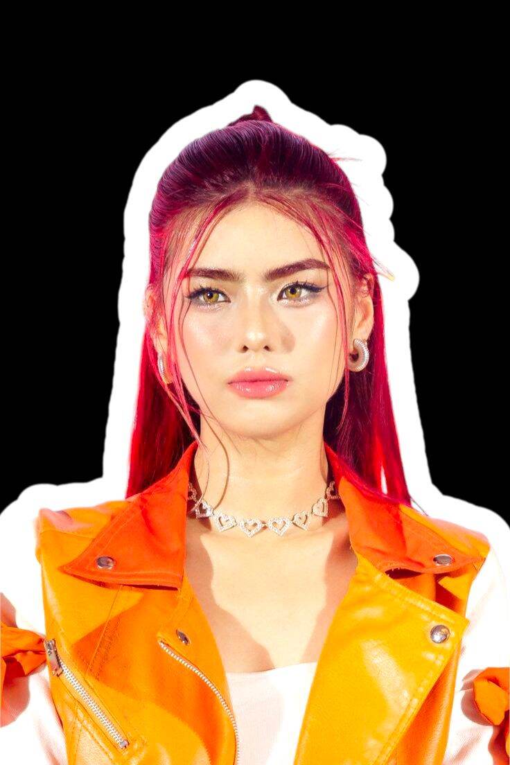 BINI Mikha Lim Stickers Collection | Lazada PH