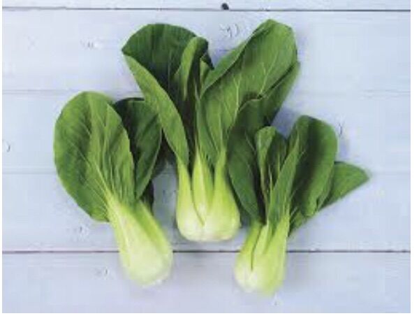 Pachoy (Bok Choi) Choi F1 seeds (approx 200pcs) | Lazada PH