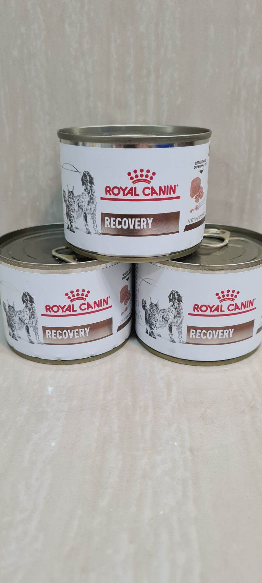 ROYAL CANIN RECOVERY CAN 195 GRAMS | Lazada PH