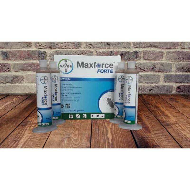 Bayer Maxforce Forte (30g x 4) cockroach gel bait | Lazada PH