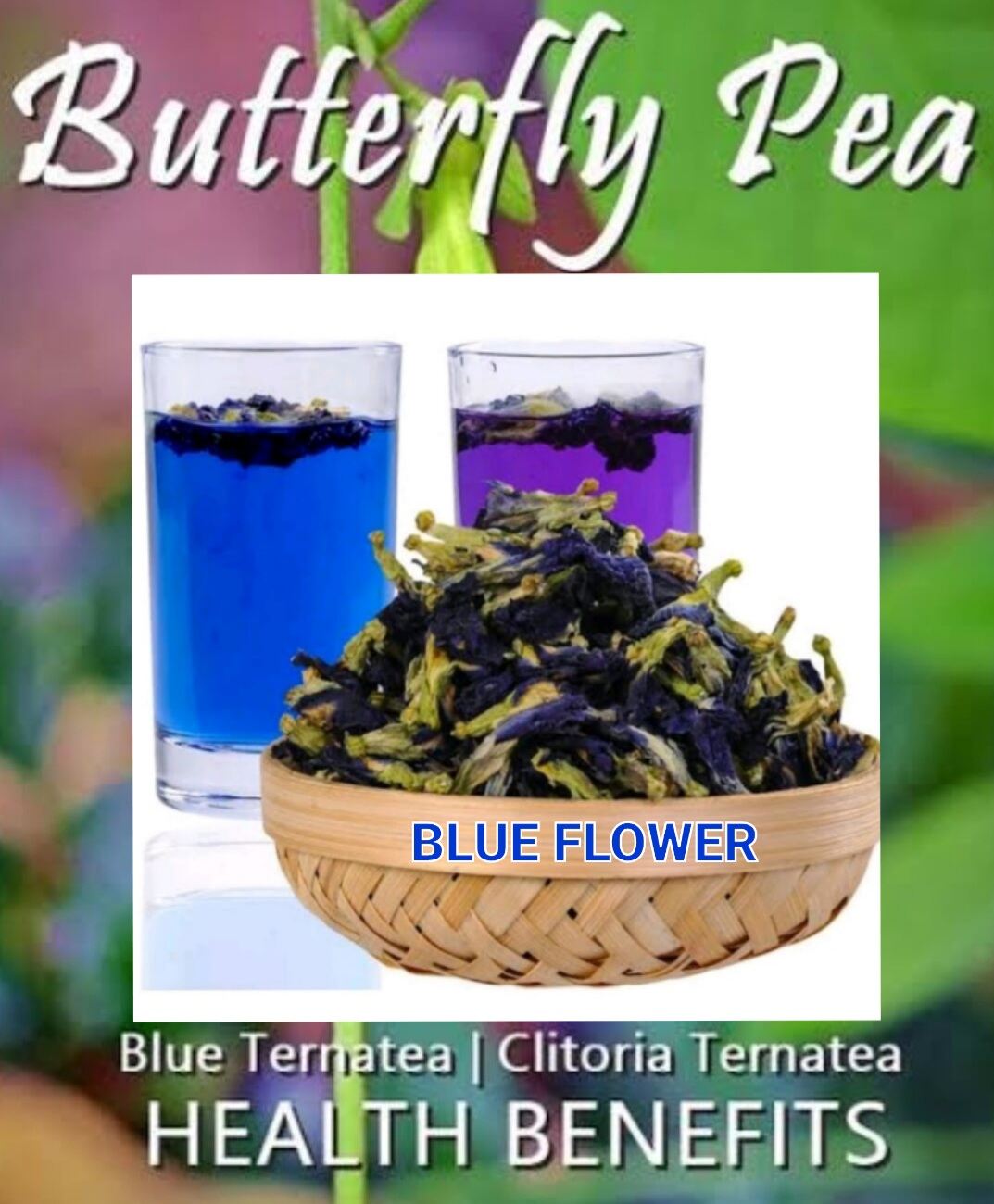 Blue Ternate Tea Butterfly Pea Flower 100 grams | Lazada PH
