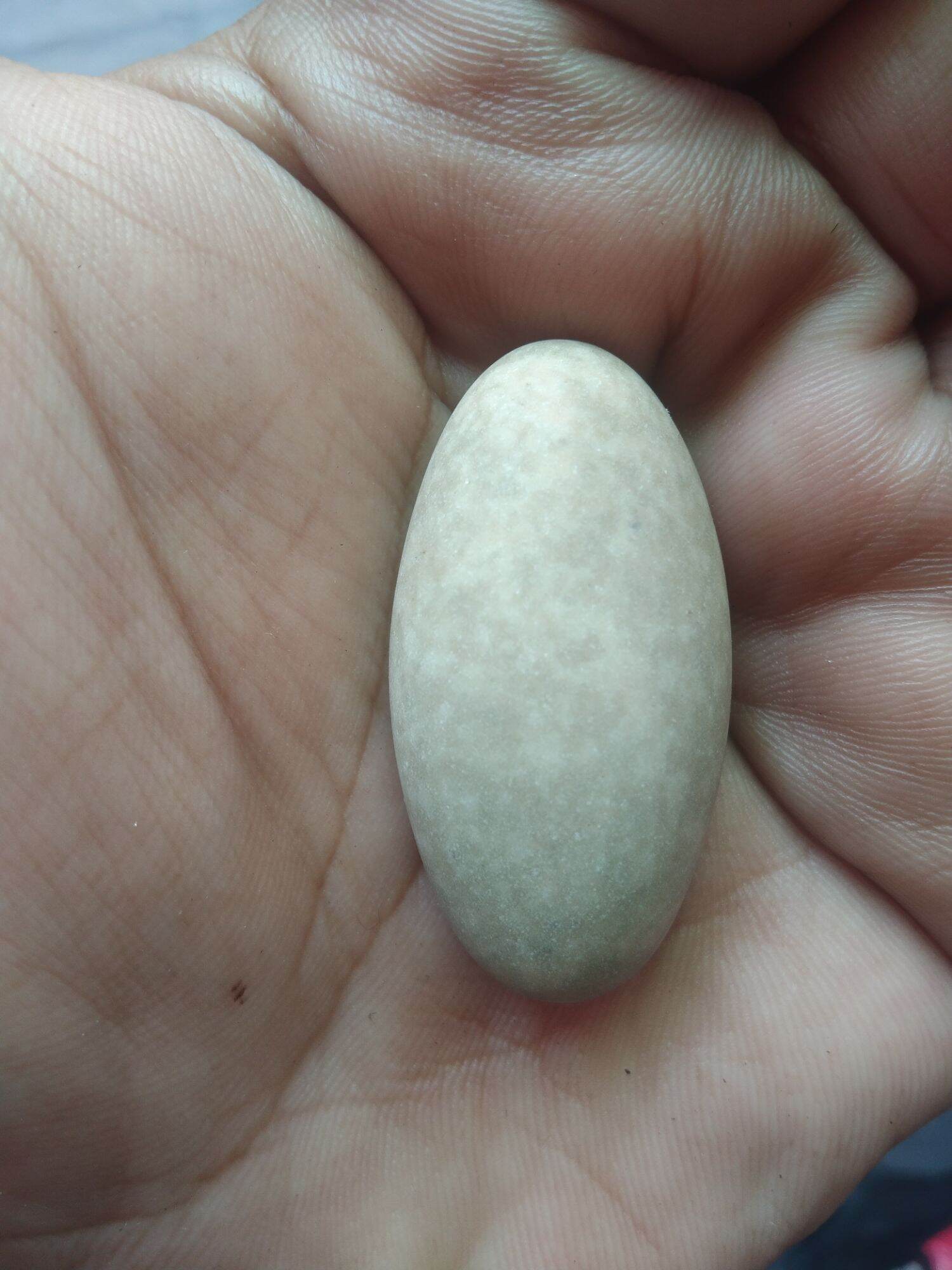 TRABUNGKO MUTYA NG AHAS LUCKYÇHARM AÑD PRÓTEKSYON.. | Lazada PH