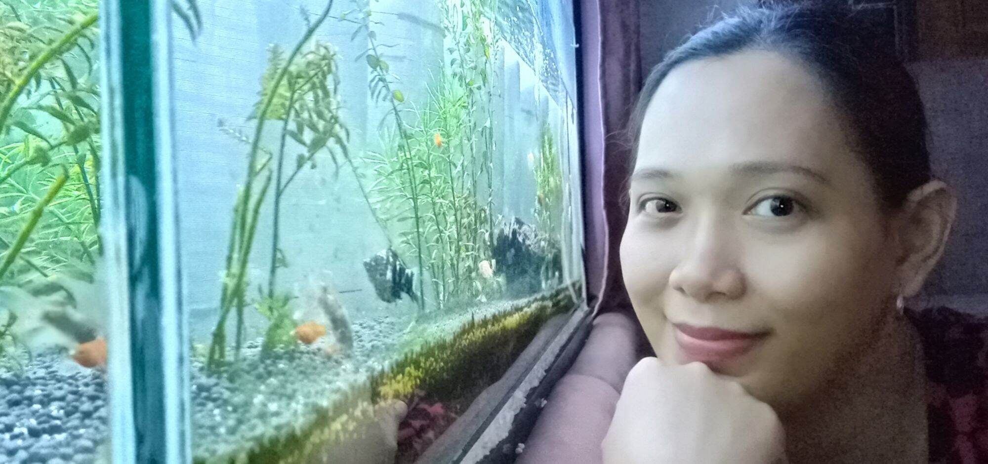 Shop online with Lin Ya Merchandise now! Visit Lin Ya Merchandise on ...