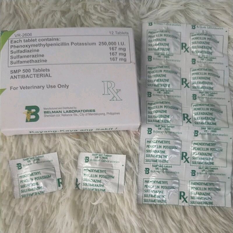 SMP 500 Antibacterial Tablets for Pets 3Pcs 500mg/piece | Lazada PH