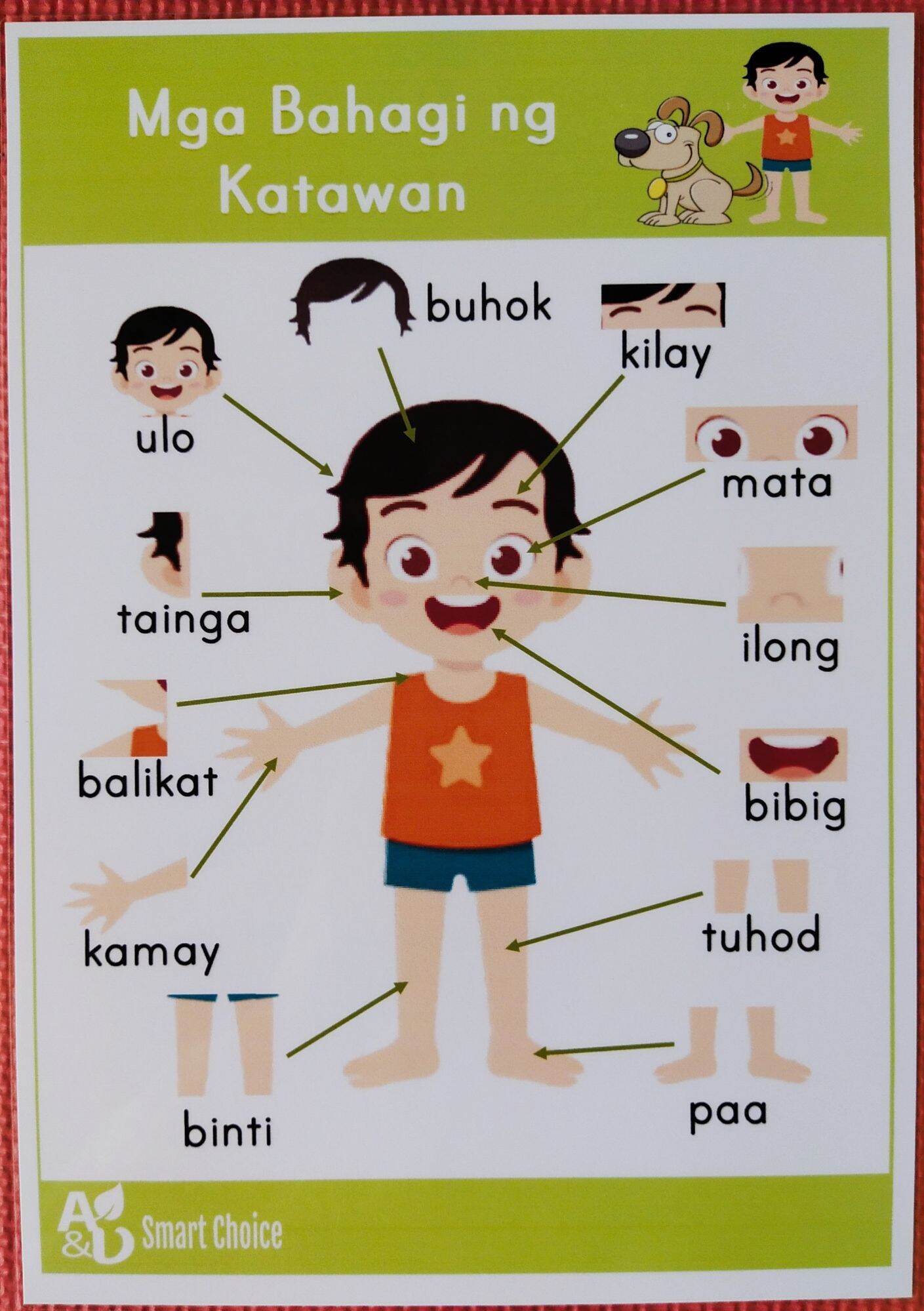 Laminated Educational Chart English, Filipino and Math A4 Size | Lazada PH