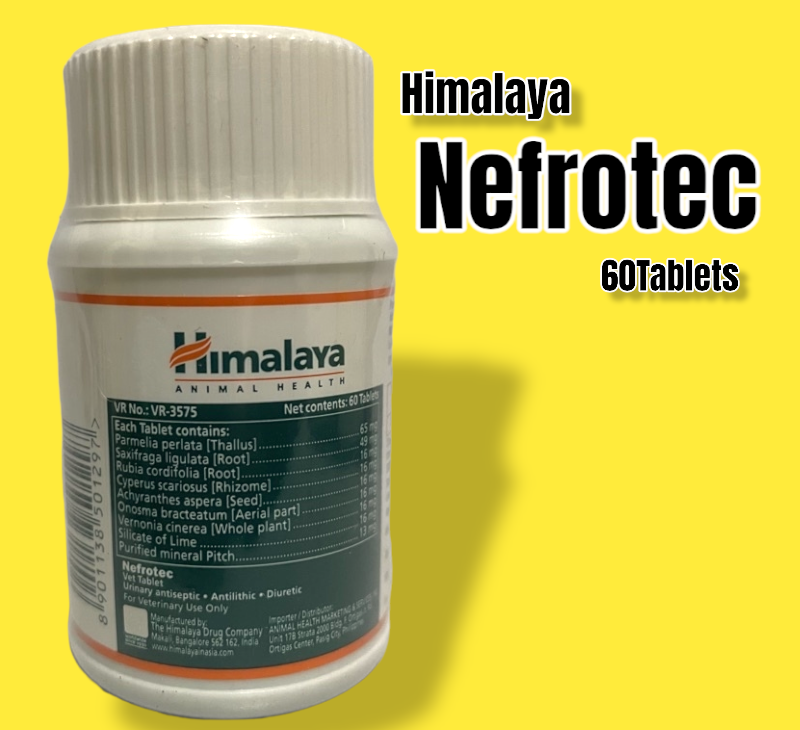 Himalaya Nefrotec 60 Tablet | Lazada PH