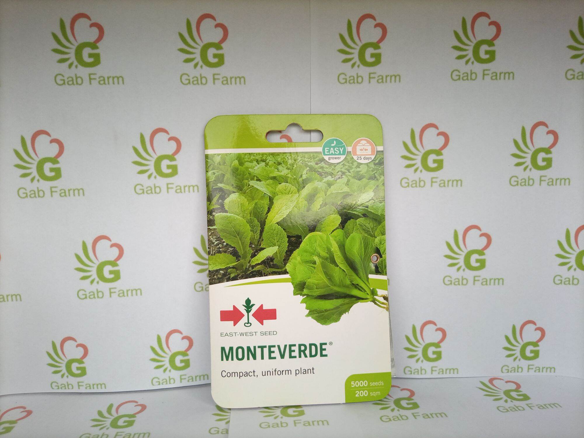 East-West Seed Monteverde Mustasa (Vegetable seed pack) | Lazada PH