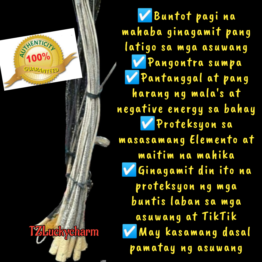 Buntot Pagi na mahaba/Proteksyon sa mga masasamang Elemento/Pang latigo ...