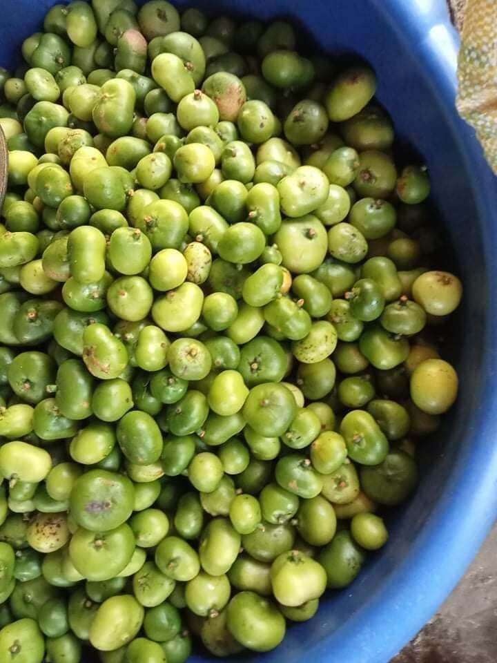 Batuan Fruit | Lazada PH