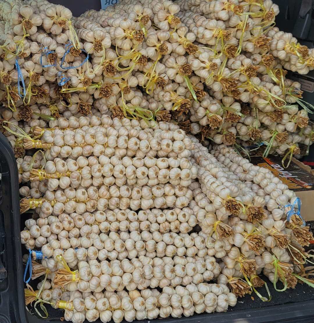Braided 1kg ilocos native bawang (garlic) small size of bulb | Lazada PH