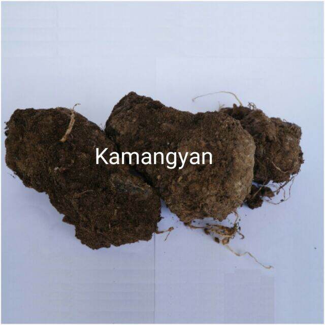 KAMANYAN 1/2 kilo | Lazada PH