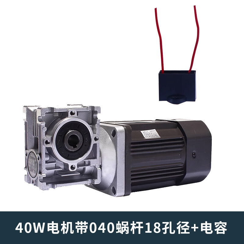 AC Reduction Motor Rv030/040/050 Turbine Worm Speed Motor 40W/60W/120W ...