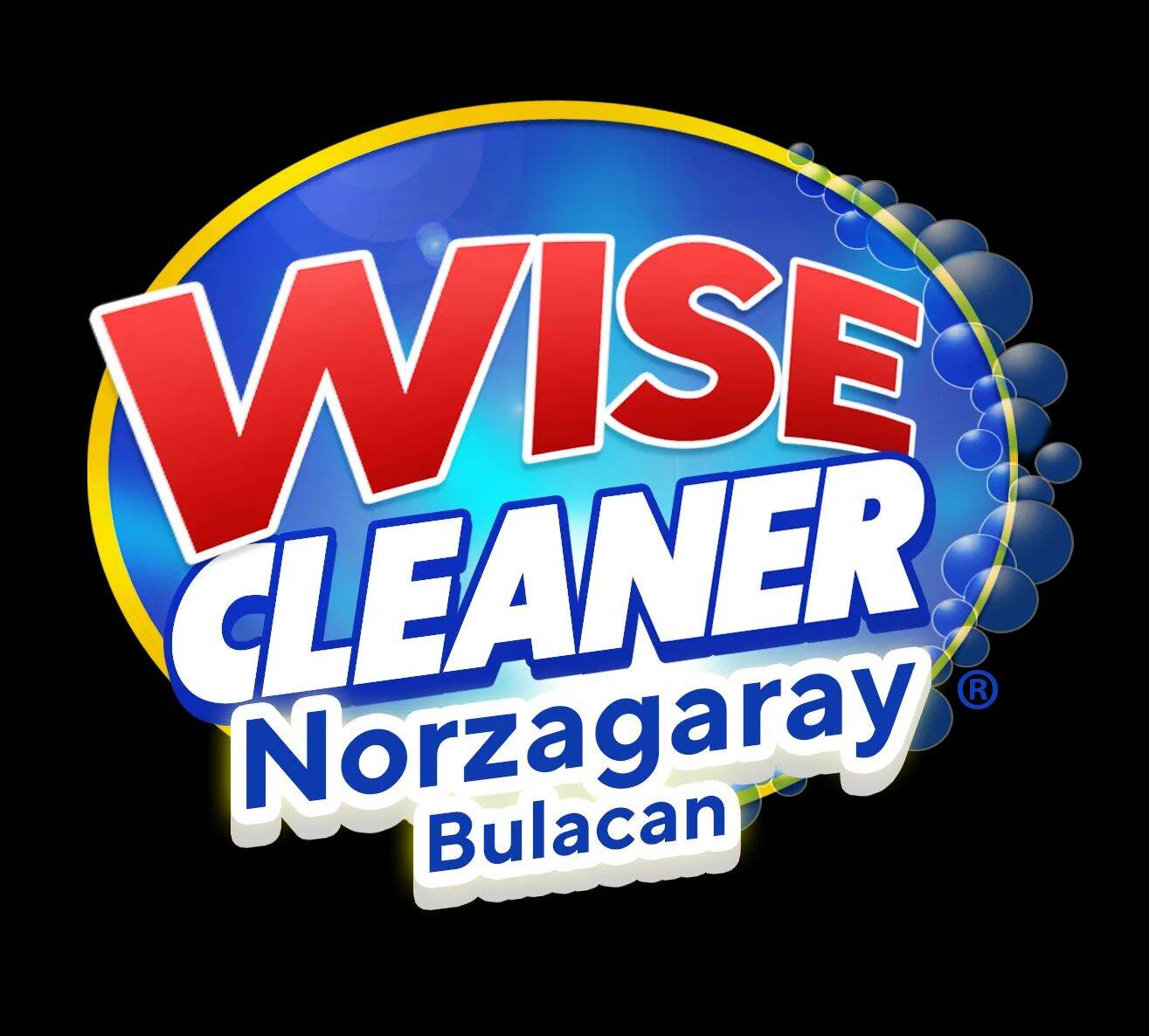 Wise Cleaner CSJDM/Norzagaray Philippines Official Online Store | Shop ...