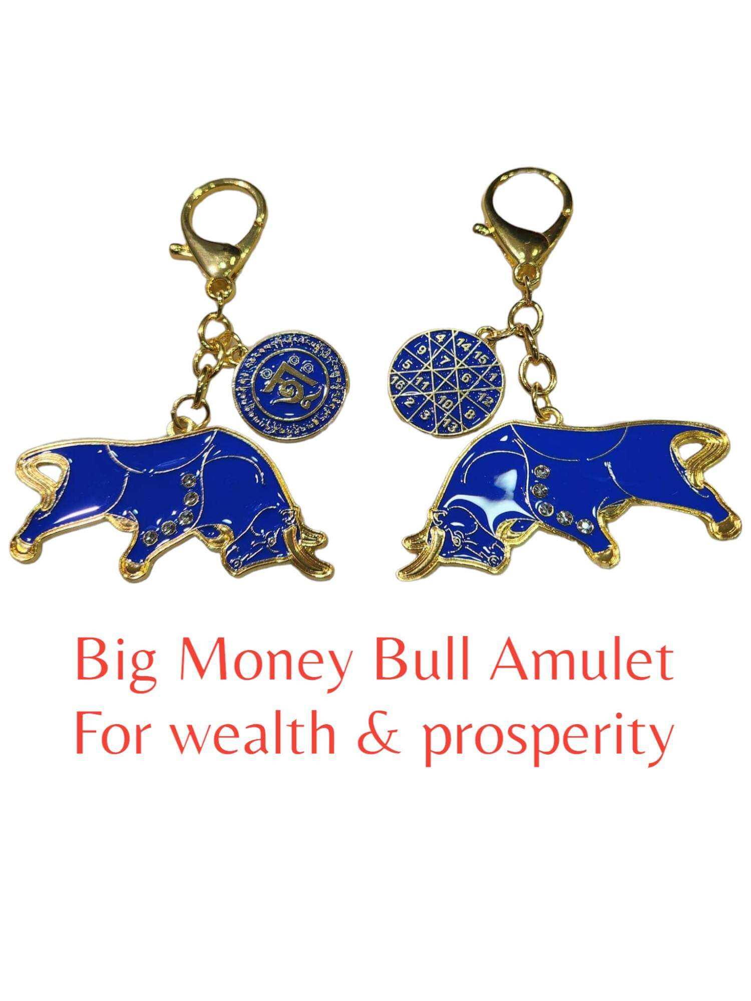 Big money Bull Amulet 2023 | Lazada PH