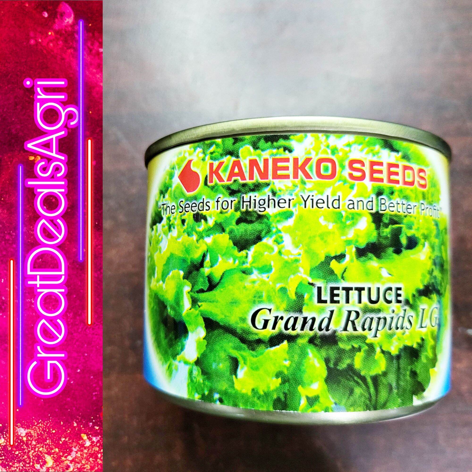 GRAND RAPID OPV LETTUCE SEEDS (50 GRAMS) KANEKO SEEDS | Lazada PH