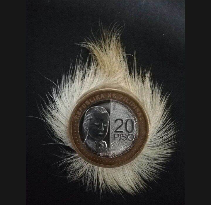 Pilikmata ng Kambing / Goat Eyelash pang kiliti sa kepay | Lazada PH