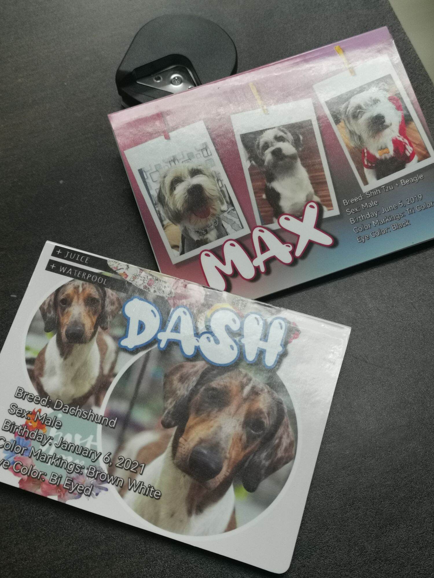 Customized Pet Vet Card, Vaccine Record Booklet | Lazada PH