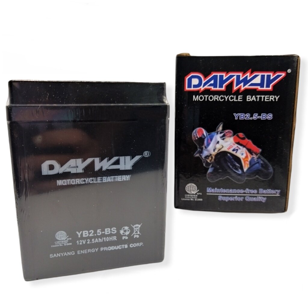 2.5L Dayway Battery Original | Lazada PH