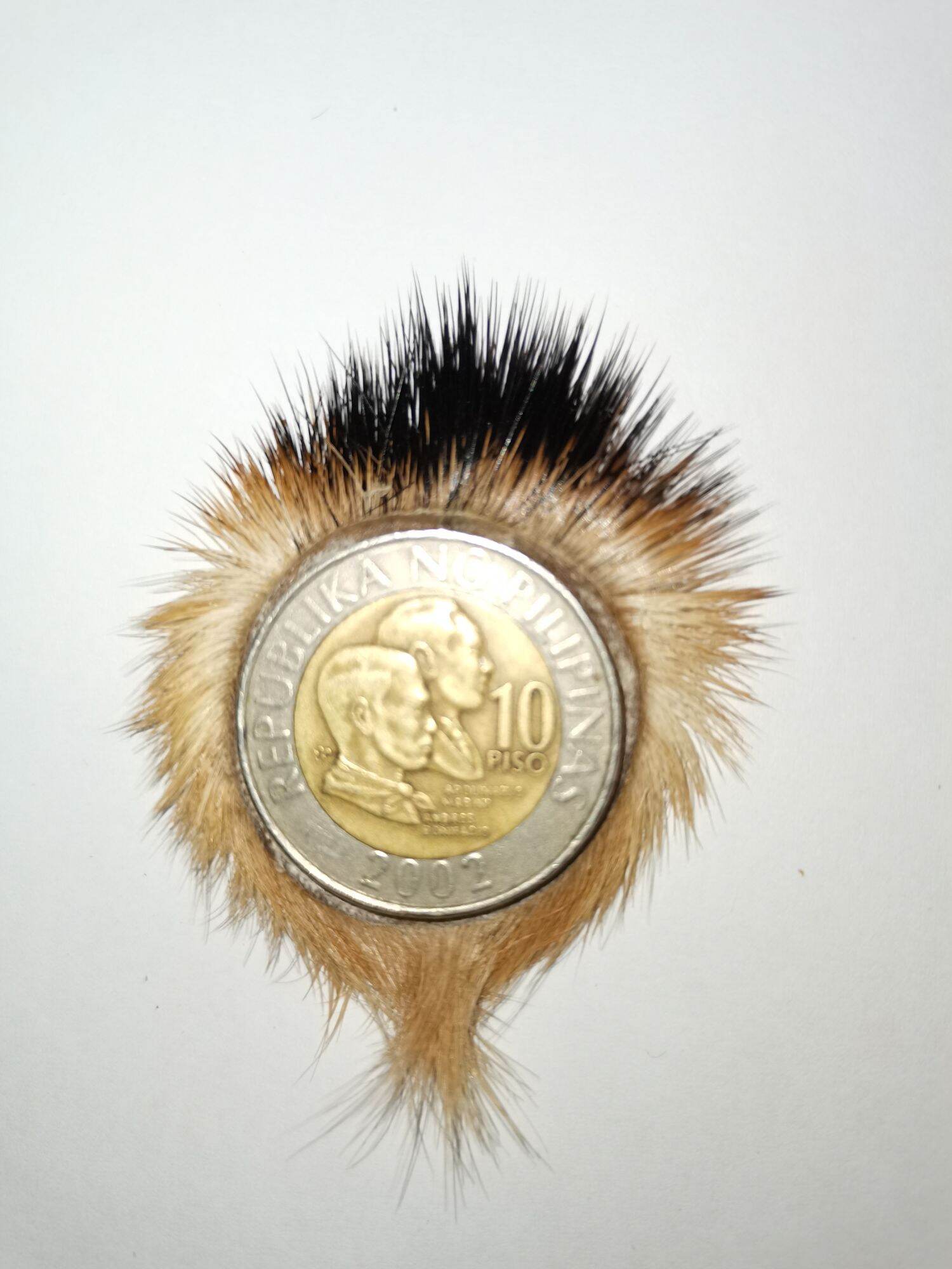 Original goat eyelashes/Pilik mata ng kambing or pampadulas | Lazada PH