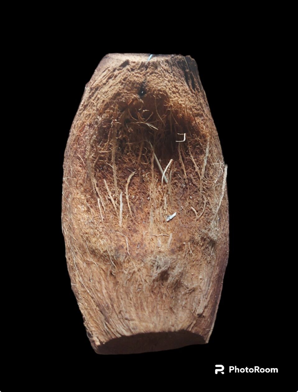 Bunot or Coco Husk with Wire | Lazada PH