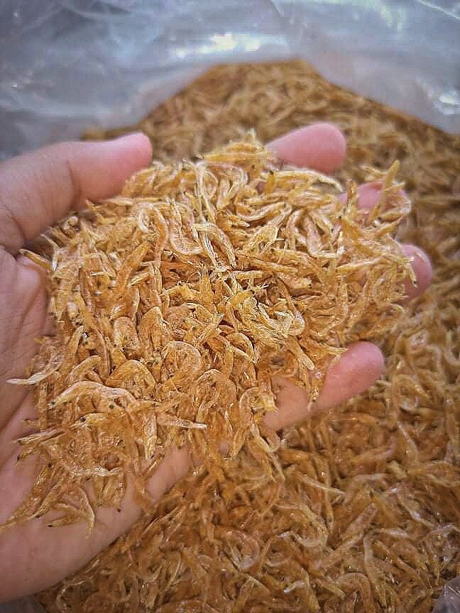 Dried Alamang | Lazada PH