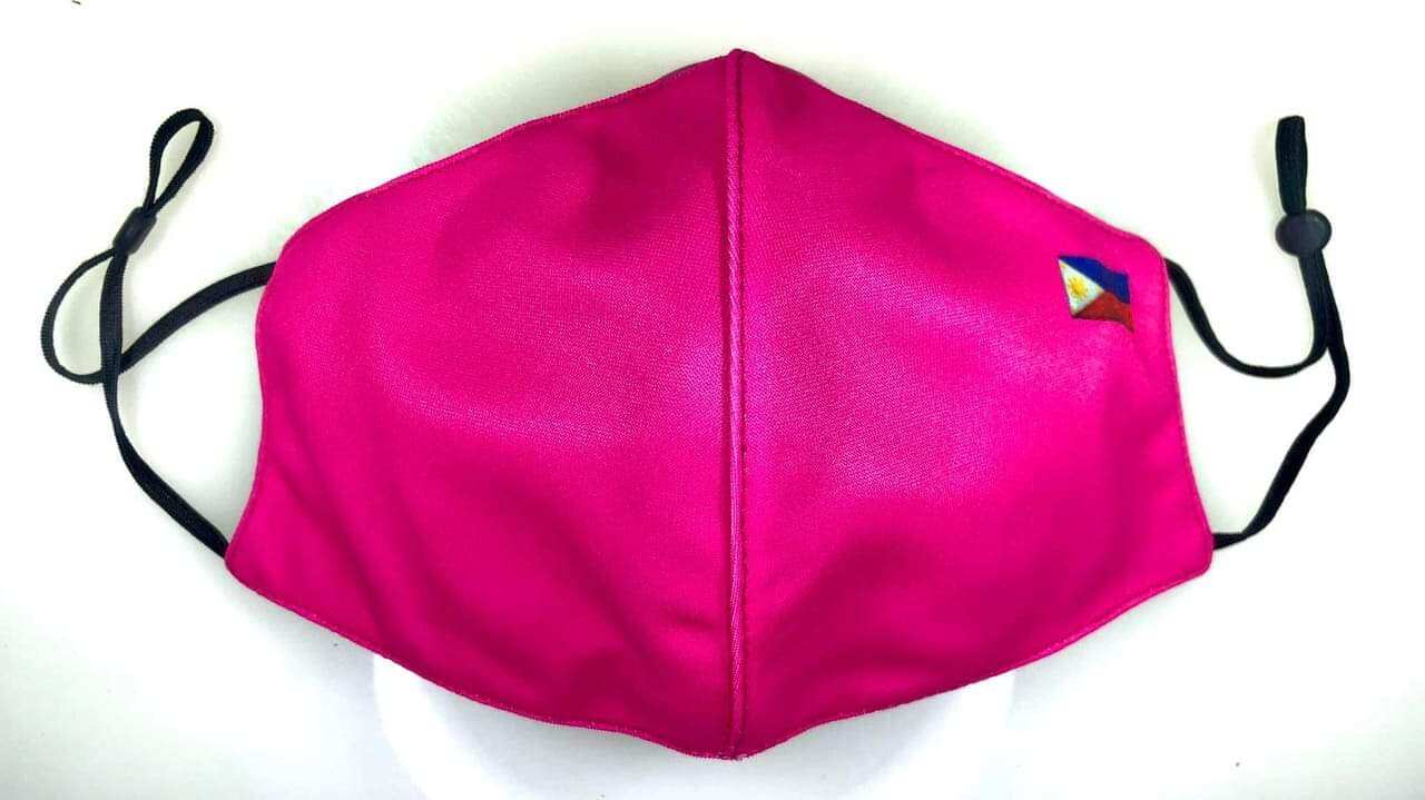 ProTek Washable Water Repellant - Republika PH Mask Ver.6 - 2Ply w ...